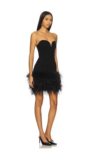 SANS FAFF Posey Mini Feather Dress