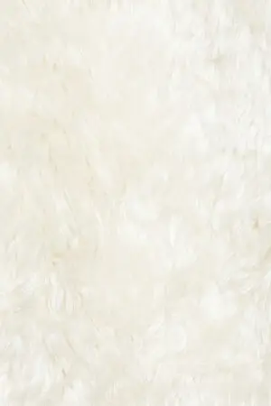 Gabriela Hearst Orlando Fur Hoodie - Ivory