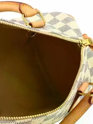 LOUIS VUITTON 2010 Speedy 25 Handbag