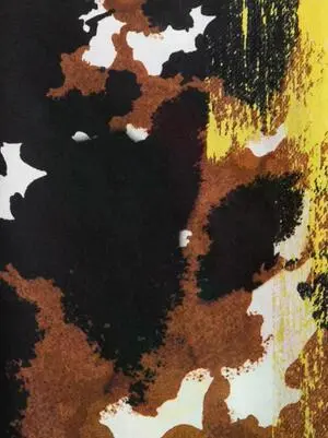 Roberto Cavalli Pre-owned Abstract-print Scarf