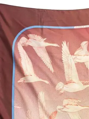 Hermès 1970s Oiseaux Migrateurs Silk Scarf