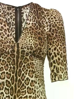 Dolce & Gabbana Leopard-print V-neck Top