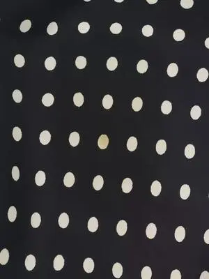 Celine Polka-dot Silk Skirt