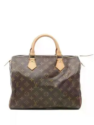 LOUIS VUITTON Speedy 30 Handbag