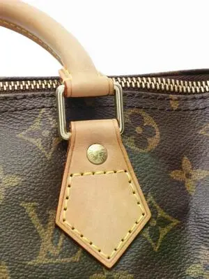 LOUIS VUITTON Speedy 30 Handbag