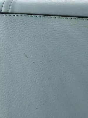 Celine Phantom Medium Tote Bag
