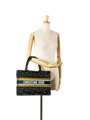 Dior 2021 Mizza Book Tote Bag