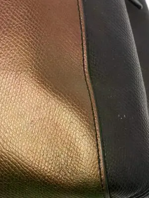 COACH VINTAGE 2024 Margot Tote Bag
