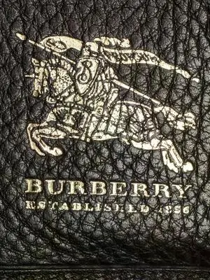 Burberry Check Buckle Wallet
