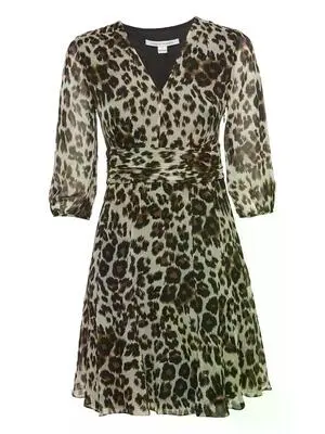 Diane Von Furstenberg Leopard-print Silk Dress