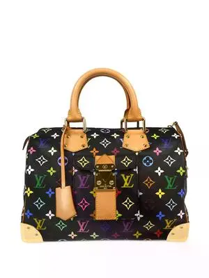 LOUIS VUITTON Speedy 30 Handbag