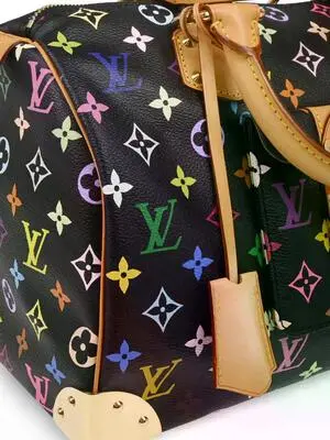 LOUIS VUITTON Speedy 30 Handbag