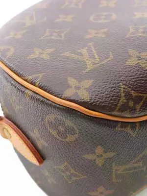 LOUIS VUITTON 2005 Blower Crossbody Bag