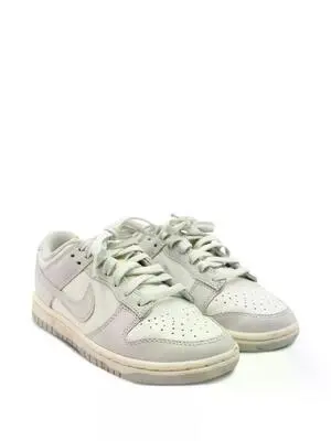 Nike Dunk Low Sneakers