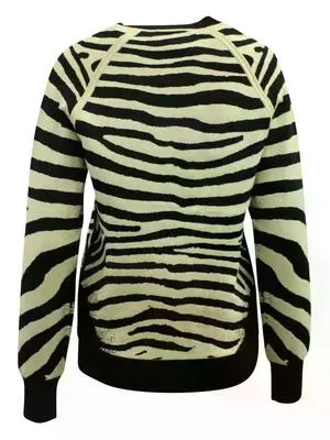 A.L.C. Rizzou Zebra-print Raglan-sleeve Sweatshirt