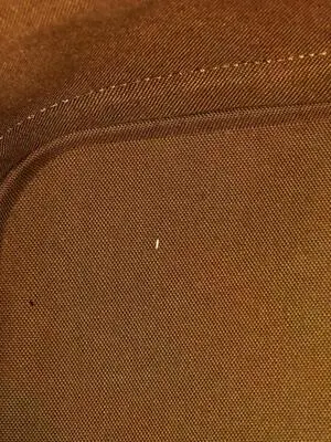 LOUIS VUITTON Alma Handbag Monogram Canvas