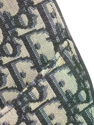 Dior 2010s Saddle Belt Bag - Neutrals