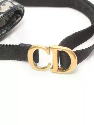 Dior 2010s Saddle Belt Bag - Neutrals