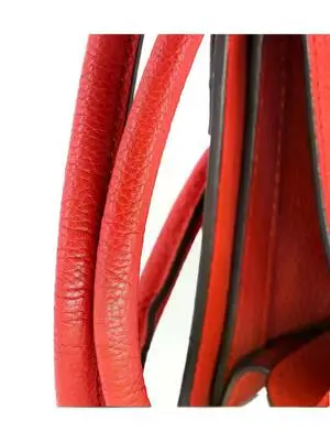 Celine Luggage Bag Grainy Leather Micro Tote - Red