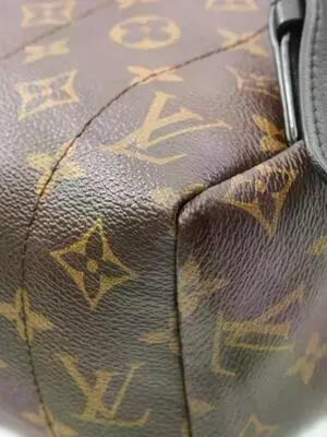 LOUIS VUITTON Monogram Palm Springs Mm Backpack - Brown