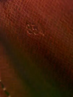 LOUIS VUITTON Cartesier Gm Monogram Shoulder Bag