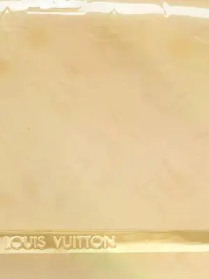 LOUIS VUITTON Patent-leather Embossed Wallet