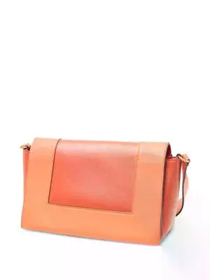 Celine 2018 Frame Shoulder Bag
