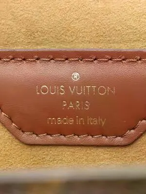LOUIS VUITTON 2021 Butterfly Trunk Monogram Shoulder Bag