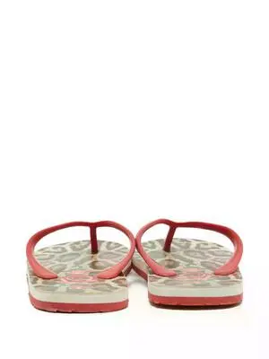 Dolce & Gabbana Leopard-print Flip Flops - Red