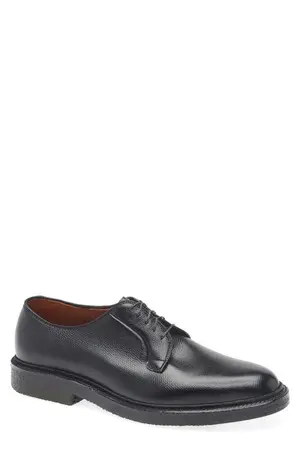 Alden All Weather Plain Toe Derby