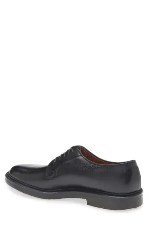 Alden All Weather Plain Toe Derby