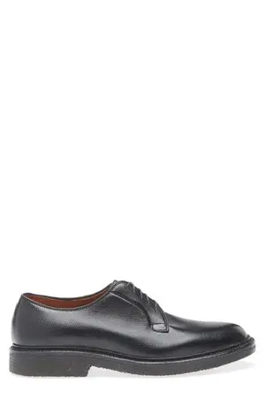 Alden All Weather Plain Toe Derby