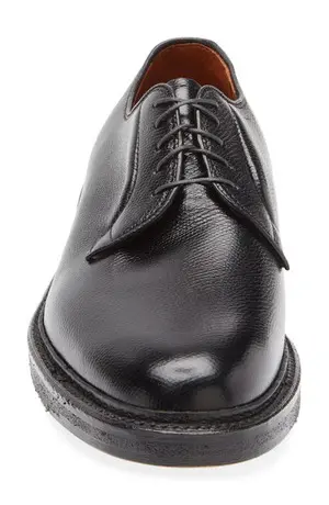 Alden All Weather Plain Toe Derby