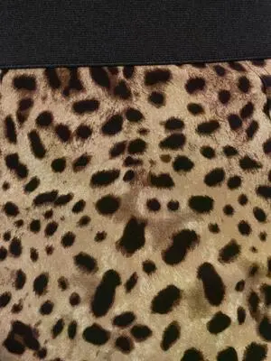 Dolce & Gabbana Animal-print Shorts