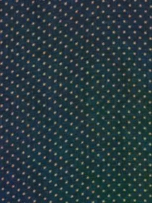 DELL'OGLIO Dotted Fringed Scarf