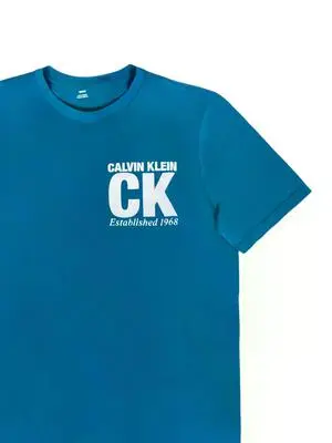 Calvin Klein Logo-print T-shirt - Blue