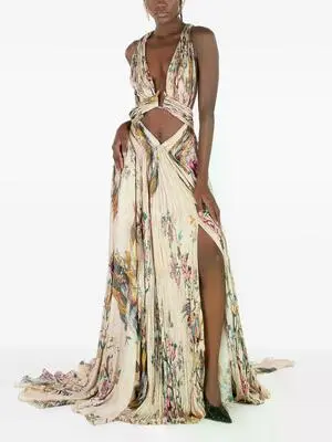Roberto Cavalli Pleated Floral-print Maxi Dress