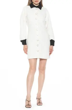 Alexia Admor Collared Day Dresses