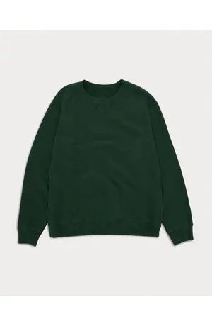 FORTELA Raglan Sleeve Crewneck Sweatshirt Bottle