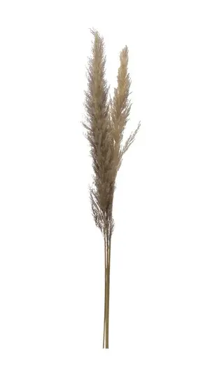 STORIED HOME 43-1/4"h Dried Pampas Grass Bunch - Natural