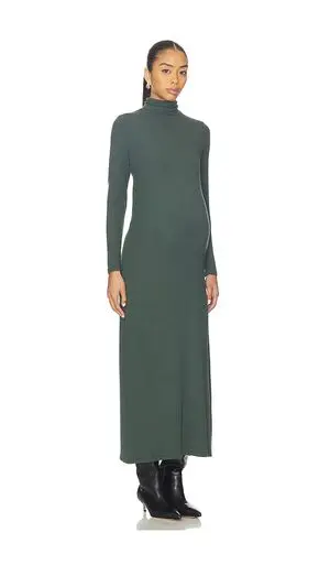 Hatch The Softest Rib Turtleneck Dress