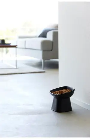 YAMAZAKI Tilted Pet Food Bowl - Black