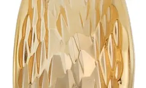 PANACEA Textured Concave Drop Earrings