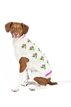 CHILLY DOG Rose Bud Sweater - Ivory