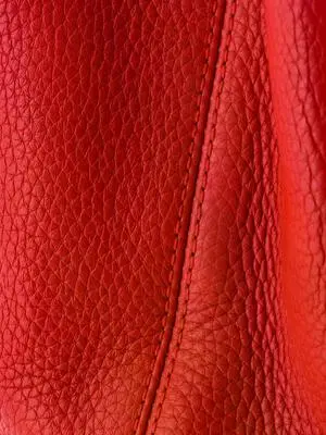 LOUIS VUITTON Capucines Mm Satchel - Red