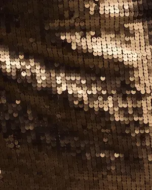 Rag & Bone Lucy Sequin Skirt