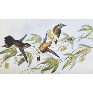 TAG Hummingbird Lumbar Cotton Accent Decorative Throw Pillow