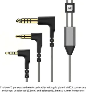SENNHEISER Ie 900 Audiophile In-ear Headphones