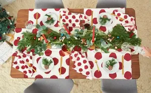 CAROL & FRANK Ruby Dot 100% Cotton Printed Set Of 4 Placemats 14" X 20