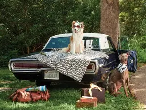 CAROL & FRANK Naya Pet Quilt